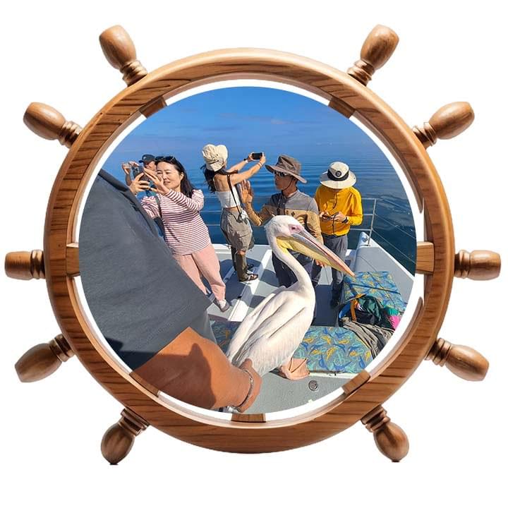 Walvis Bay Tours | Marine Tours | Dunes 4x4 Tours and Safaris | Walvis ...